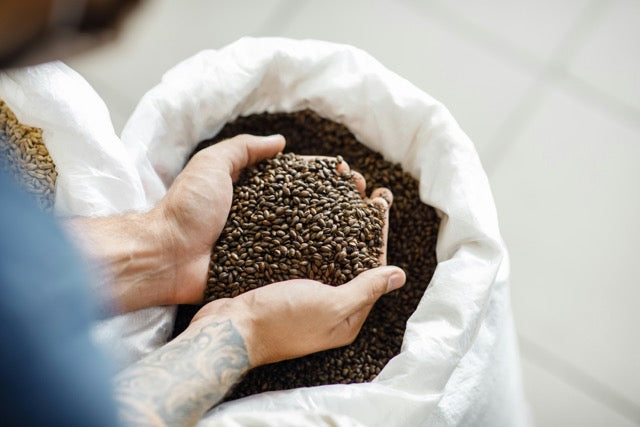 Inside a Whisky Distillery: A Behind-the-Scenes Guide – The Really Good ...